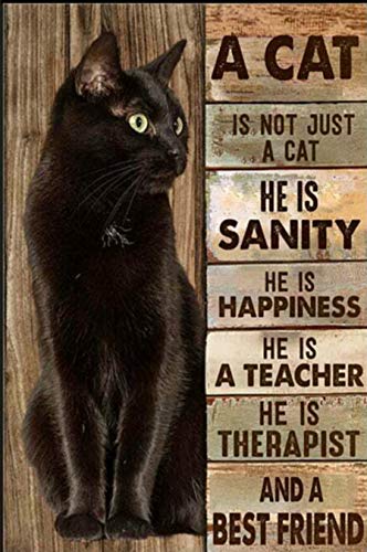 KDLY A Cat is Not Just A Cat Metal Sign 12"x8" Black cat Lover Home Wall Decor