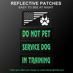 8 Pieces Service Dog Vest Patches Reflective Dog Patches in Training Dog Patches Do Not Pet and Dog Paw Patches Flag Removable Tactical Dog Harness Patches (Classic Patterns,4.3 x 1.6 Inch)