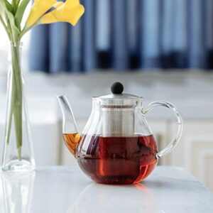 BTaT - Glass Teapot with Removable Infuser (32oz, 1000ml) Stovetop Safe Tea Kettle, Blooming and Loose Leaf Tea Maker Set, Mother's Day Gift