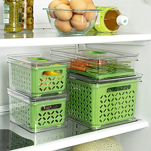 Goodful Produce Keeper, Adjustable Air Vents, Removable Insert/Colander, Durable Food Safe Material, Stackable, Clear and Green, Small, 7.6" x 5.6" x 4.2", Two Pack