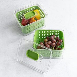 Goodful Produce Keeper, Adjustable Air Vents, Removable Insert/Colander, Durable Food Safe Material, Stackable, Clear and Green, Small, 7.6" x 5.6" x 4.2", Two Pack