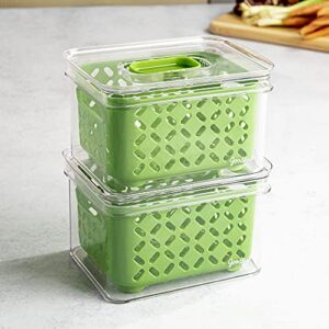 Goodful Produce Keeper, Adjustable Air Vents, Removable Insert/Colander, Durable Food Safe Material, Stackable, Clear and Green, Small, 7.6" x 5.6" x 4.2", Two Pack