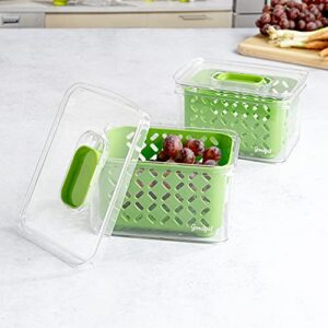 Goodful Produce Keeper, Adjustable Air Vents, Removable Insert/Colander, Durable Food Safe Material, Stackable, Clear and Green, Small, 7.6" x 5.6" x 4.2", Two Pack