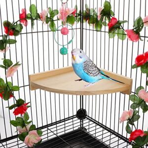 2 Pack Bird Wooden Perch Stand Platform Rack Rest Stand Toy for Bird Parrot Parakeet Conure African Greys Cockatoo Budgies Macaw Lovebird Finch Canary Hamster Gerbil Rat Mouse Cage Shelf Toy