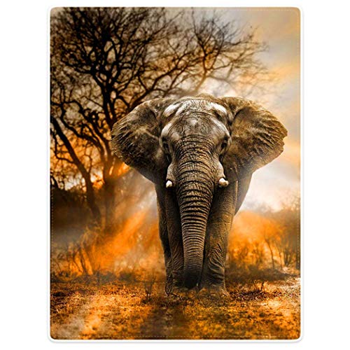 HommomH 60"x80" Orange African Elephant Blanket Soft Fluffy Fleece Throw for Women