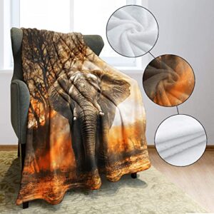 HommomH 60"x80" Orange African Elephant Blanket Soft Fluffy Fleece Throw for Women