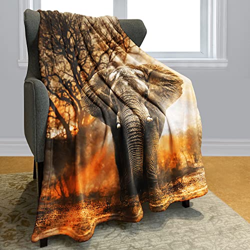 HommomH 60"x80" Orange African Elephant Blanket Soft Fluffy Fleece Throw for Women