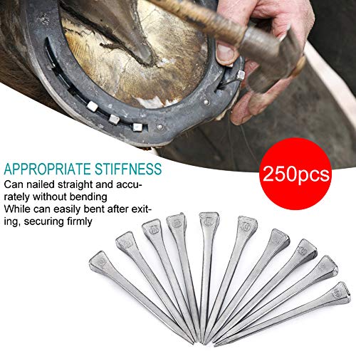 Horseshoe Nails, E6 250PCS Firmly Horse Tool Horse Hoof Nail with Good Elasticity Steel Hoof Peg Securing Accessory for Horse Training Equestrian Sports