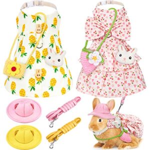 2 sets pet rabbit bunny dress bunny easter costume with leash hat mini bag harness leash small animals accessory for rabbit hedgehog ferret guinea pigs piggies squirrel (pineapple and cherry)