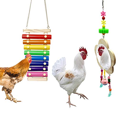 Vehomy 2Pcs Chicken Toys for Hens Chicken Mirror Toy with Bell and Chicken Xylophone Toy for Chicks Hens Roosters