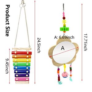 Vehomy 2Pcs Chicken Toys for Hens Chicken Mirror Toy with Bell and Chicken Xylophone Toy for Chicks Hens Roosters