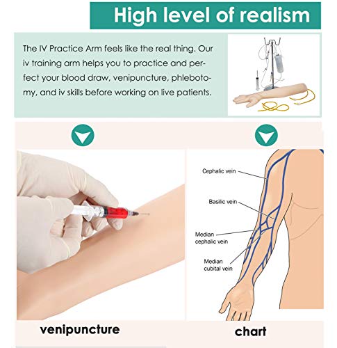 IV Practice Arm Kit, Training Pad with Phlebotomy and Venipuncture Practice Arm, for Nurse Students Practice & Training, IV Starter Kit, Medical Educational Training Teaching Model