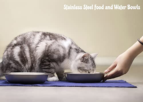 BiteKing Stainless Steel Cat Bowls, Whisker Fatigue Relief Cat Food Dish, Metal Shallow Wide Large Replacement Plate for Dog and Pet, Ideal for Raised Elevated Pet Feeding Station Stand