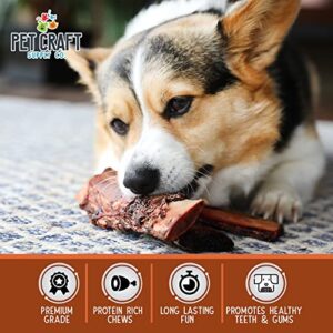 Pet Craft Supply All Natural Healthy Beef Rib Bones Dog Chews Treats for Aggressive Chewers Long Lasting Rawhide Free, Premium Grade Slow Roasted for Puppies or Small Medium Dogs 10 Count (Pack of 1)