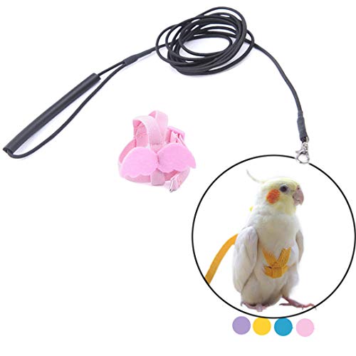 PAPIEEED Bird Harness Leash Kit for Walking, Durable Outing Gadget Adjustable Flying Training Rope Strap, Traction Rope for Parrot, Cockatiel, Parakeet, Lory, Conure.