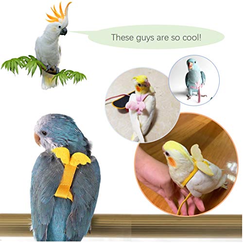 PAPIEEED Bird Harness Leash Kit for Walking, Durable Outing Gadget Adjustable Flying Training Rope Strap, Traction Rope for Parrot, Cockatiel, Parakeet, Lory, Conure.