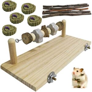 kathson hamster wood ledge platform chewing toys chinchilla cage accessories guinea pig teeth grinding lava blocks pet molar grass cake natural apple sticks for mouse rat gerbil dwarf hamster 11pcs