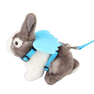 Filhome 2 Pack Adjustable Rabbit Bunny Harness and Leash Set with Wings, Vest Harness for Rabbit Ferret Bunny Kitten Guinea Pig Walking(XS/Blue and Pink)