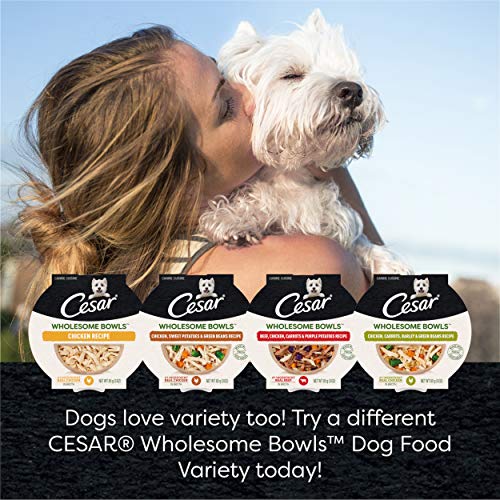 Cesar Wholesome Bowls Adult Soft Wet Dog Food Toppers Variety Pack, Chicken Recipe and Chicken, Sweet Potato & Green Beans Recipe, (6) 3 oz. Bowls