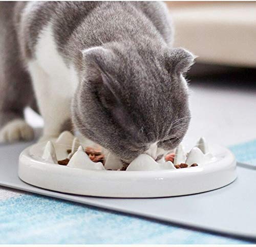 Slow Feeder Bowl for Cats and Small Dogs,Cilkus Fish Pool Design, Fun Interactive Bloat Stop Puzzle Feeder Bowl Healthy Eating Diet Made of Melamine Food Grade Material Dishwasher Safe (Small,White)