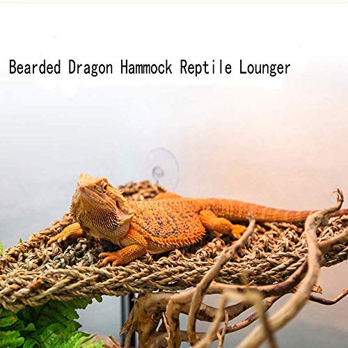 kathson Bearded Dragon Hammock Reptile Plant Hanging Terrarium Boston Plant Jungle Climber Vines Flexible Leaves Lizards Habitat Decor Accessories Coconut Hide for Chameleon Gecko Snakes 5PCS