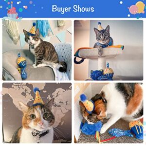 BINGPET Catnip Toys for Indoor Cats, Cat Birthday Hat and Interactive Plush Kitten Chew Toys - Cute Cake, Fish, Balloon Toys with Crinkle Paper and Catnip Inside