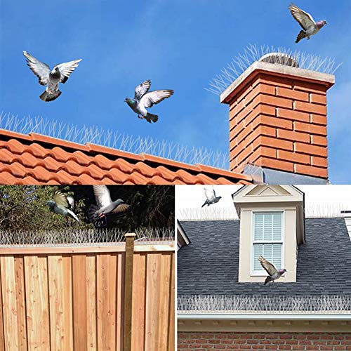 aushucu Bird Spikes Cover 11Feet Stainless Steel Pigeons Spikes Small Bird Repellent Spikes for Roof Fence Window Mailbox(11Feet)