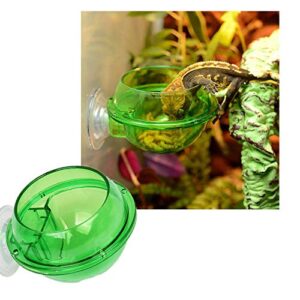 NA Reptile Food Bowl Anti-Escape Chameleon Bowl Cup Reptile Feeder Translucent Home Pet Feeder Supplies Accessories for Tortoise Gecko Snakes Chameleon Iguana