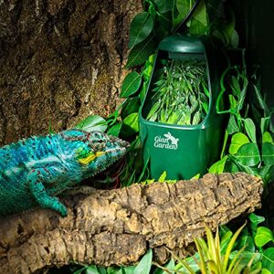 Giangarden Reptile Water Dispenser Automatic System Circulation Chameleon Drinking Fountain Water Dripper for Lizard, Snake, Gecko, Tortoise, Bearded Dragon with 3 Replaceable Carbon Pads(800ml/27oz)