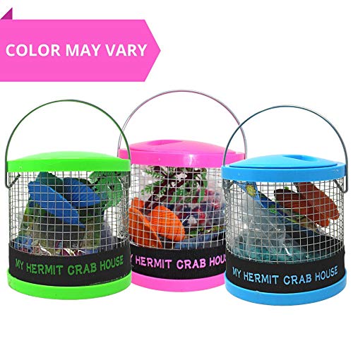 DIY Terrarium Kit, Small Hermit Crab Starter Kit with Wire Cage, Palm Tree Water Holder, Sponge, Bag of Food and Gravel, All in One Pet Supplies, Color May Vary, 4.5 Inches