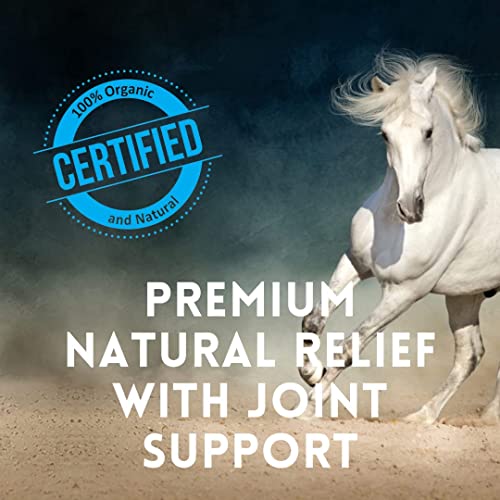 Equine Balance Premium Daily Supplement for Horses | Organic Advanced Bio-Nano Technology to Support Digestive Health | Improves Stamina | Immunity and Joint Support | 30 Day Supply | 5 oz