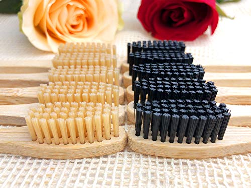 Goaycer Bamboo Toothbrush Medium Bristle, 10Pcs Biodegradable Bulk Wooden Toothbrushes