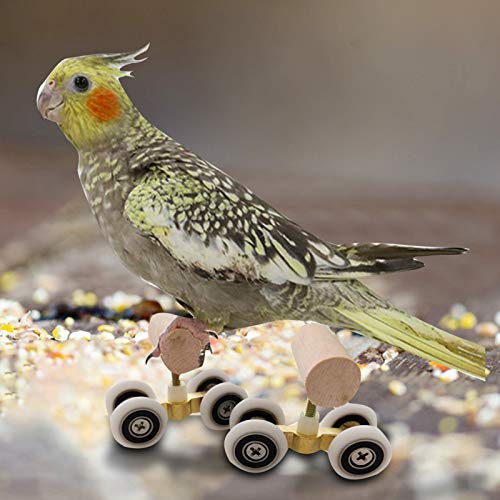 Mini Roller Skates for Parrot Double Row Toy Pet Intelligence Training Kit Supplies for Smaller Parrot