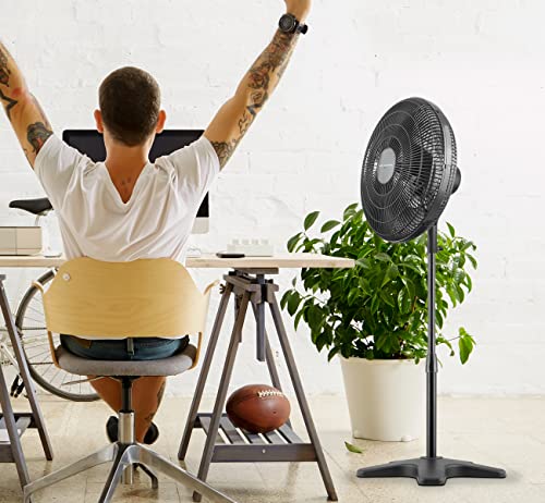 Air Monster 16" Stand Fan with Plastic Grill, Oscillating Pedestal Fan, 3 Speed, Adjustable Height and Angle, Indoor Home and Office use, Black Stand Up Fan