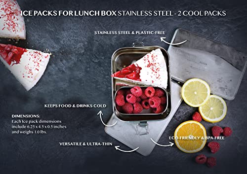 ecozoi Stainless Steel Lunch Chillers - Ice Packs for Lunch Bags, Lunch Boxes, Bento Boxes and Coolers - 2 Pack, Plastic-Free and Sustainable