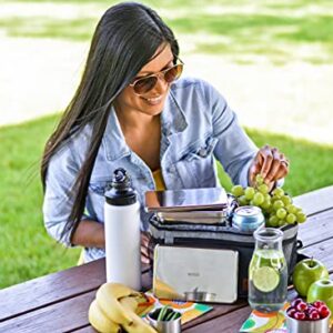 ecozoi Stainless Steel Lunch Chillers - Ice Packs for Lunch Bags, Lunch Boxes, Bento Boxes and Coolers - 2 Pack, Plastic-Free and Sustainable