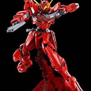 MG 1/100 RGX-00 Testament Gundam Model kit