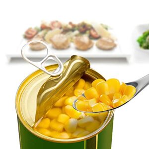 Small Slotted Spoons,AOOSY Modern Stylish Thick Heavy-weight Short handle Stainless Steel 10 Holes Durable Caviar Spoon for Soup Cereals Dips Curry Sauces Stews, Set of 2