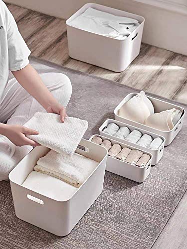 Amyup Set Of 2 Plastic Storage Bins,10.5×8×5.5" Versatile Kitchen Pantry Organization and Storage,for Plastic Storage Container Under Bed,Under Sink Bathroom Organizer (2 Pack Medium, White)