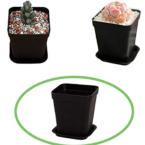 24 Pack 3 Inch Black Square Plastic Nursery Pots,Flowers Plant Pot Container with Saucers for Indoor Outdoor Plants,Herbs,Foliage Plant and Seeding Nursery