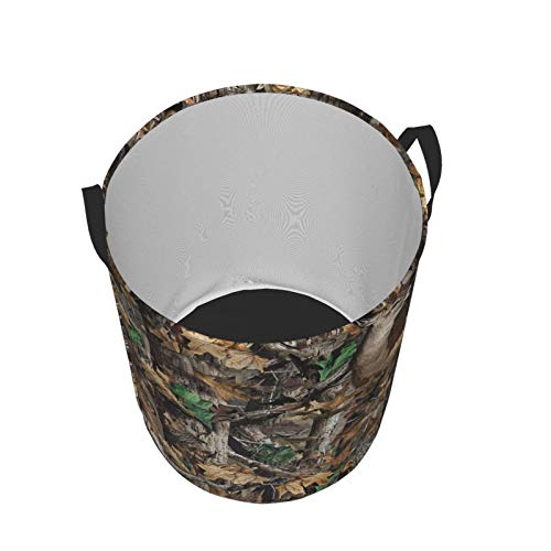 KUOAICY Camo Deer Camouflage Hunting Circular Storage Bin Organizer Round Basket for Laundry Hamper Bedroom Clothes Medium