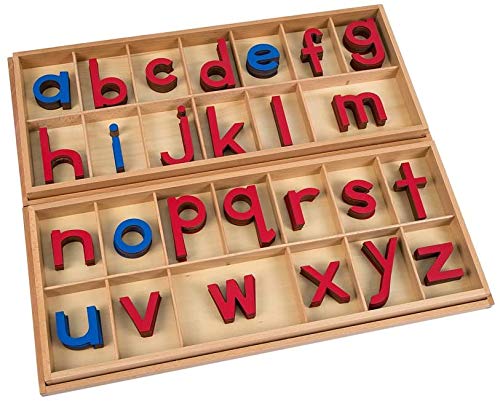 MEYOR Montessori Wooden Movable Alphabet with Box Preschool Spelling Learning Materials Large Movable Alphabet (Red & Blue)