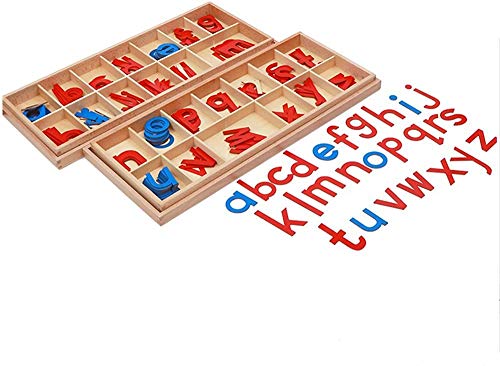 MEYOR Montessori Wooden Movable Alphabet with Box Preschool Spelling Learning Materials Large Movable Alphabet (Red & Blue)