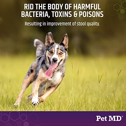 Pet MD Stool-Fix - Powdered Clay Anti Diarrhea for Dogs & Cats - Anti Diarrheal Treatment for Upset Stomach Relief, Promotes Normal Stool - 100g