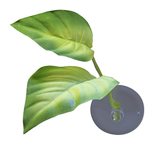 GloFish Betta Leaf, Ornamental Decoration for Tropical Freshwater Betta Aquariums