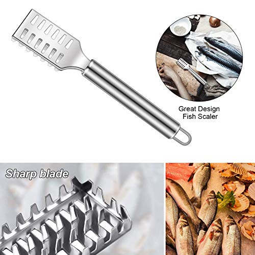 4 Pieces Fish Scaler，fish scale remover，fish peeler，fish cleaningTool for Fish Scales Removing Peeling