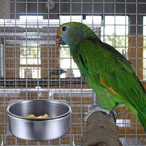 ymmsuuie 2 Pack Bird Food Bowl with 1 Fruit Skewer Holder, Stainless Steel Parrot Feeder with Clamp for cage,Stainless Steel Bowls for Cats and Dog, Bird Cage Food Water Bowls