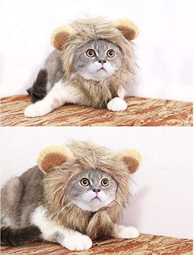 M Joy Decor Lion Mane Costume Wig for Cats & Small Dogs, Fancy Cat Lion Cosplay Hat in Halloween Xmas Clothes Dress with Ears (Large(Neck 15"))