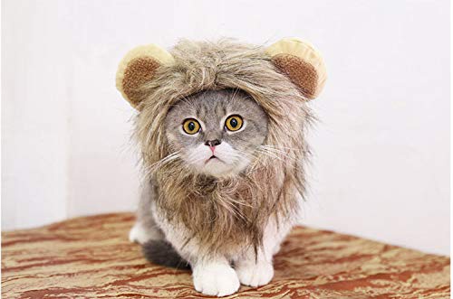 M Joy Decor Lion Mane Costume Wig for Cats & Small Dogs, Fancy Cat Lion Cosplay Hat in Halloween Xmas Clothes Dress with Ears (Large(Neck 15"))