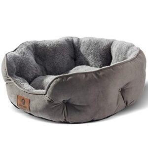 asvin small dog bed for small dogs, cat beds for indoor cats, pet bed for puppy and kitty, extra soft & machine washable with anti-slip & water-resistant oxford bottom, grey, 20 inches